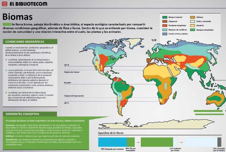 Bioma; Tipos, qué es, ubicación y sus características | OVACEN