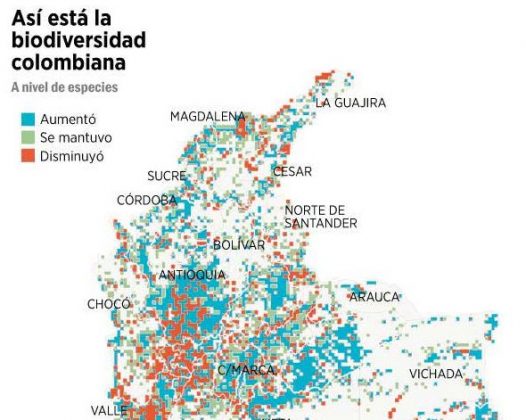 101 Imágenes e Infografías en ecosistemas | OVACEN