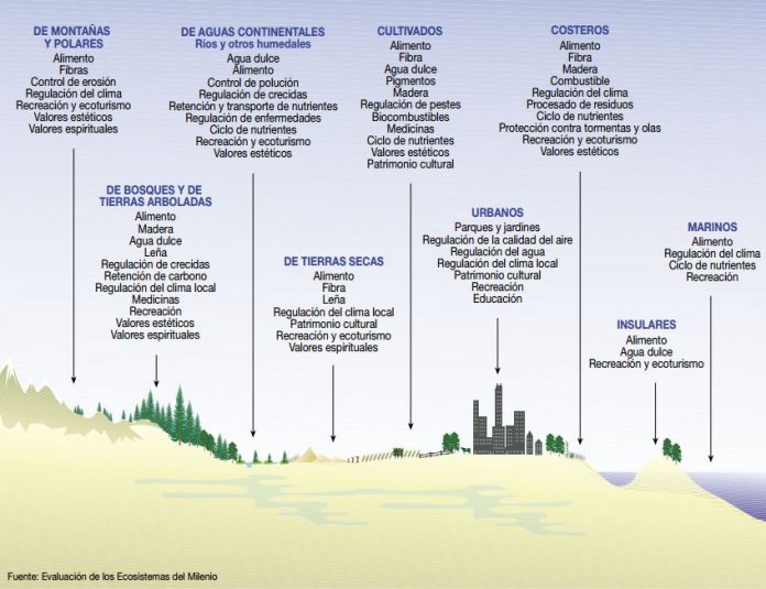 Ecosistema: Qué es, tipos y 101 ejemplos | OVACEN