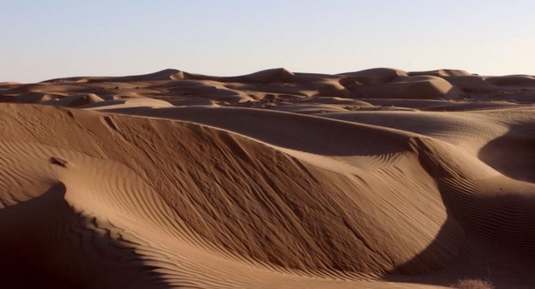 Desierto; Clima, flora, fauna y características | OVACEN