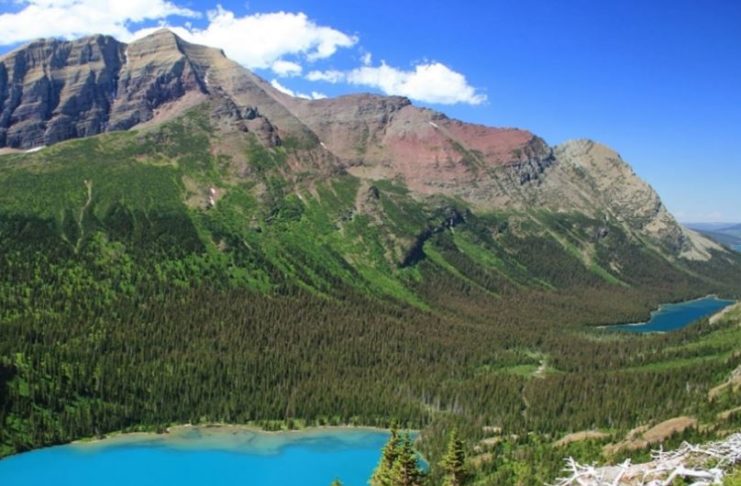 Ecosistemas naturales; qué son, tipos y ejemplos | OVACEN