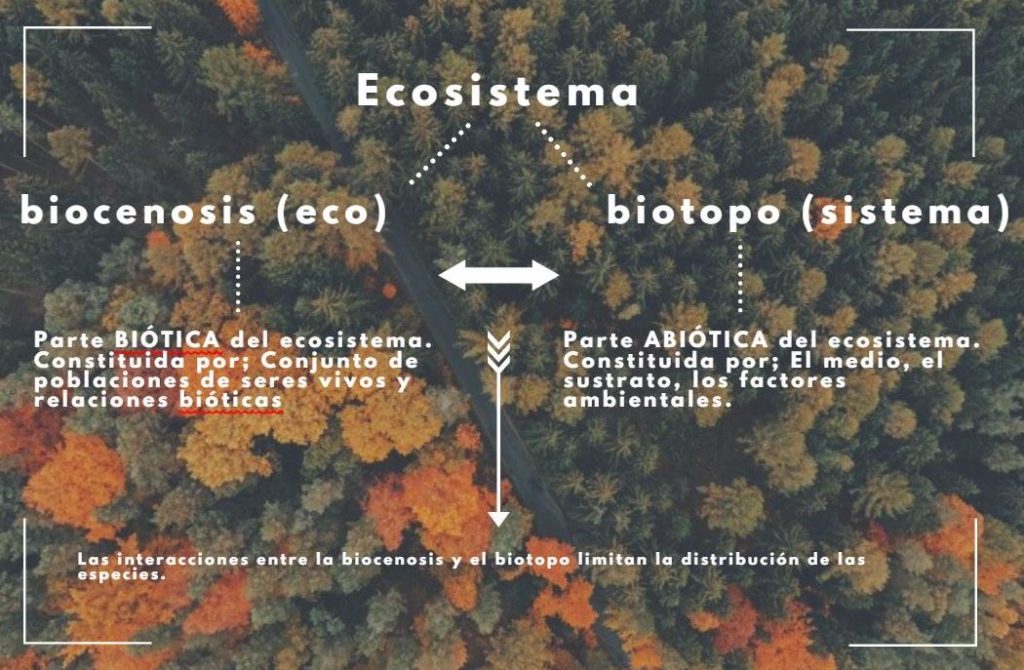 Biotopo; Qués es, tipos, componentes y ejemplos | OVACEN