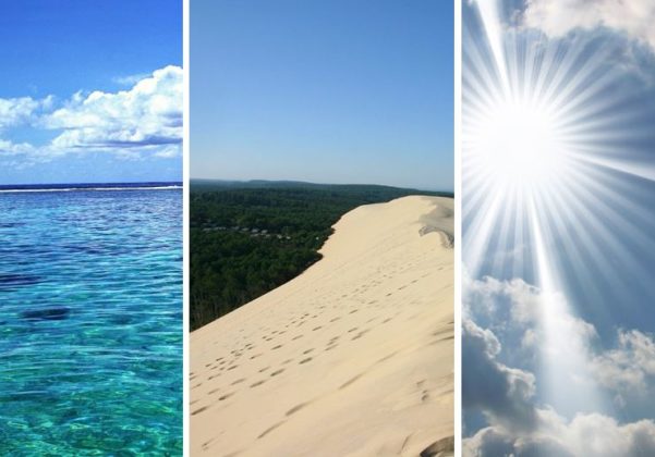 Factores abióticos; Qué son, principales elementos y ejemplos | OVACEN