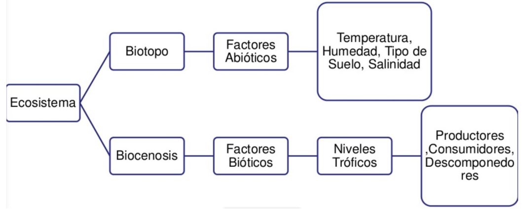 Diego Peralta Bermudez: Niveles tróficos: Productores, consumidores y ...