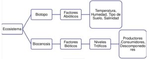 Ecosistema: Qué es, tipos y 101 ejemplos | OVACEN