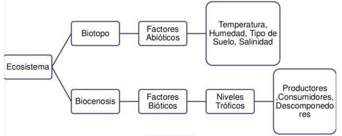 Ecosistema: Qué es, tipos y 101 ejemplos | OVACEN