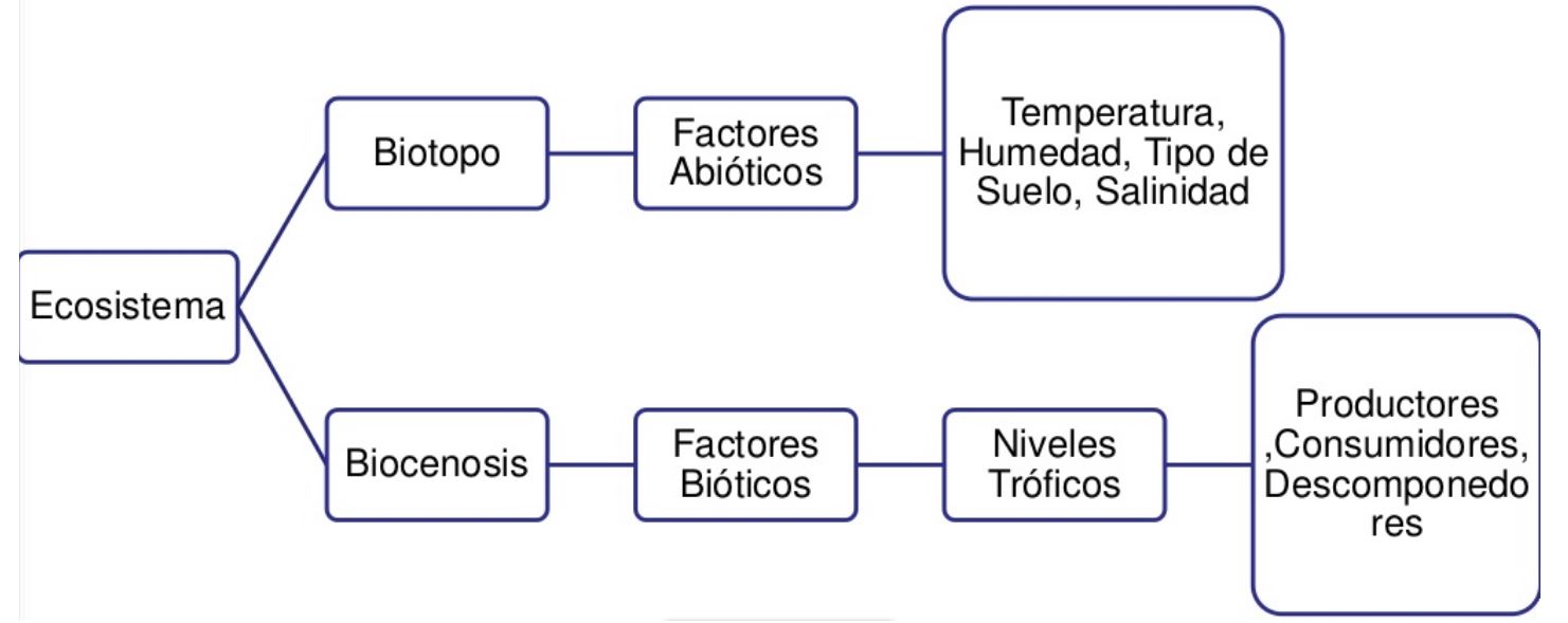 Niveles tróficos: Productores, consumidores y descomponedores | OVACEN