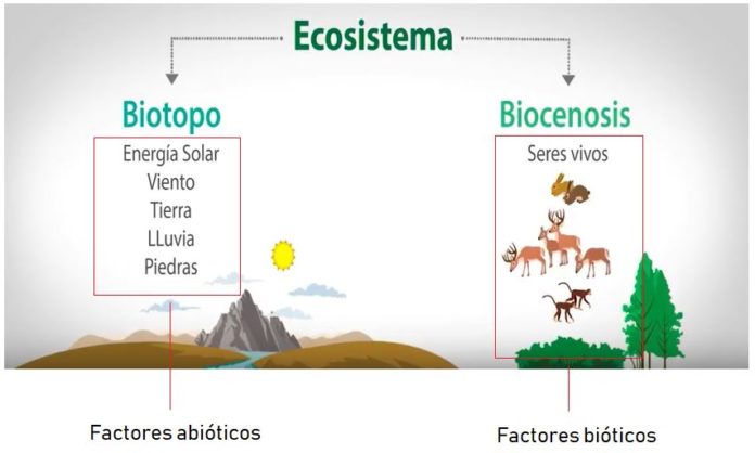Ecosistemas naturales; qué son, tipos y ejemplos | OVACEN