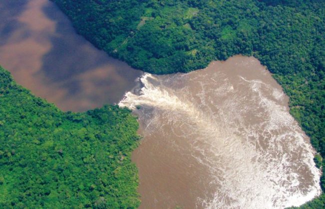 Biodiversidad del amazonas: Importancia del ecosistema amazónico | OVACEN