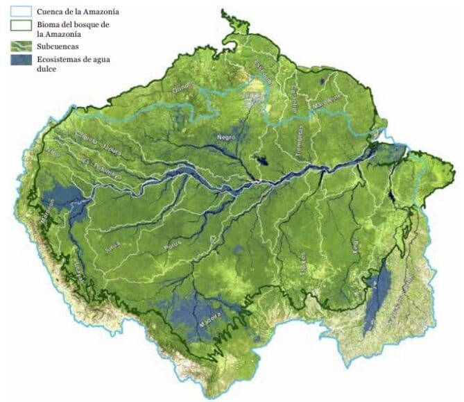 Biodiversidad del amazonas: Importancia del ecosistema amazónico | OVACEN