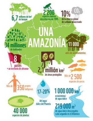 Biodiversidad del amazonas: Importancia del ecosistema amazónico | OVACEN
