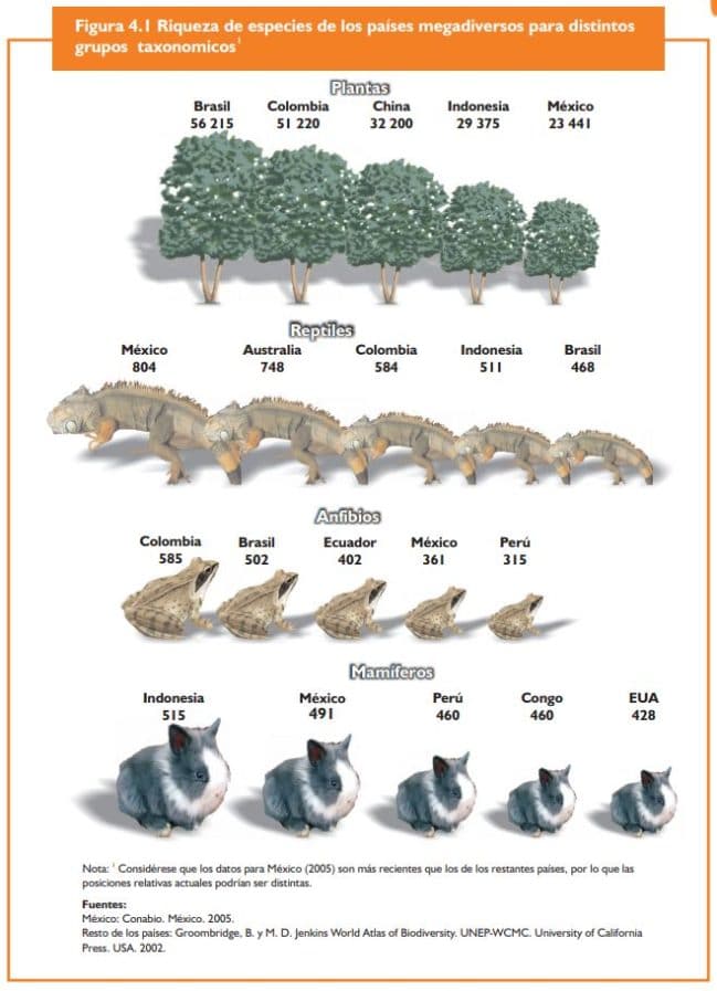 Ecosistemas de México: Cuáles son, tipos, vegetación, fauna y ejemplos