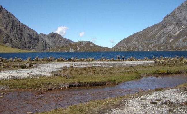 Páramo; Clima, flora, fauna y características | OVACEN