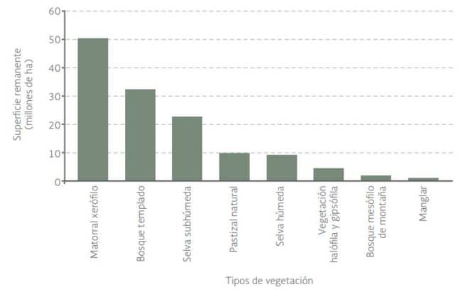 Ecosistemas de México: Cuáles son, tipos, vegetación, fauna y ejemplos