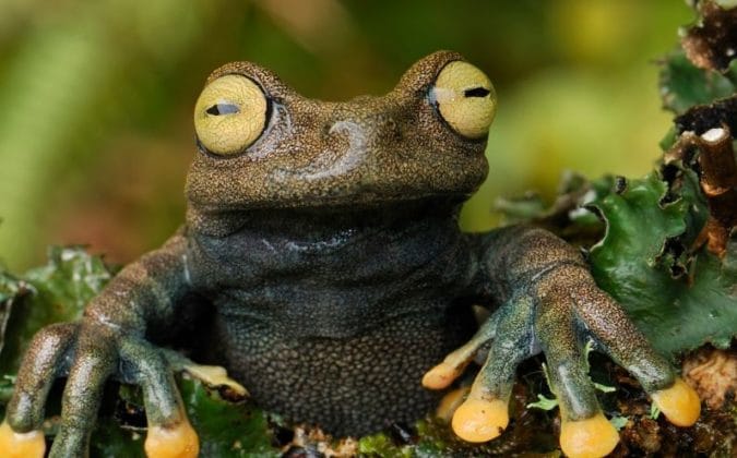 El turismo verde en Colombia; Un paraíso en biodiversidad | OVACEN