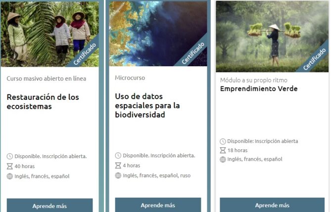 8 Cursos online de ecología y medio ambiente gratis ¡Top formación en ...