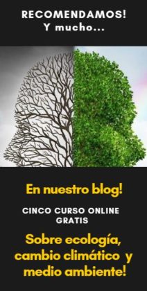 Ecosistema: Qué es, tipos y 101 ejemplos | OVACEN