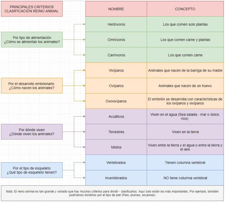 Reino animal o animalia: Qué es, clasificación, nutrición y ejemplos