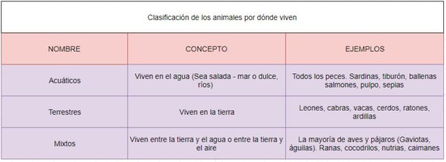 Reino animal o animalia: Qué es, clasificación, nutrición y ejemplos