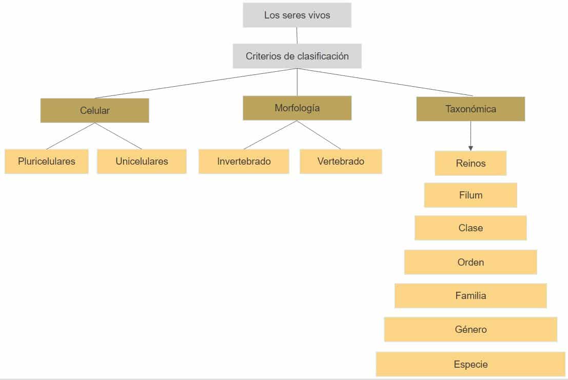 Clasificación de los seres vivos