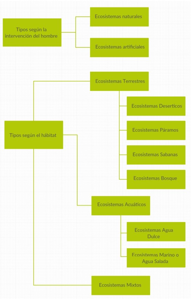 Ecosistemas secundaria: 101 ecosistemas