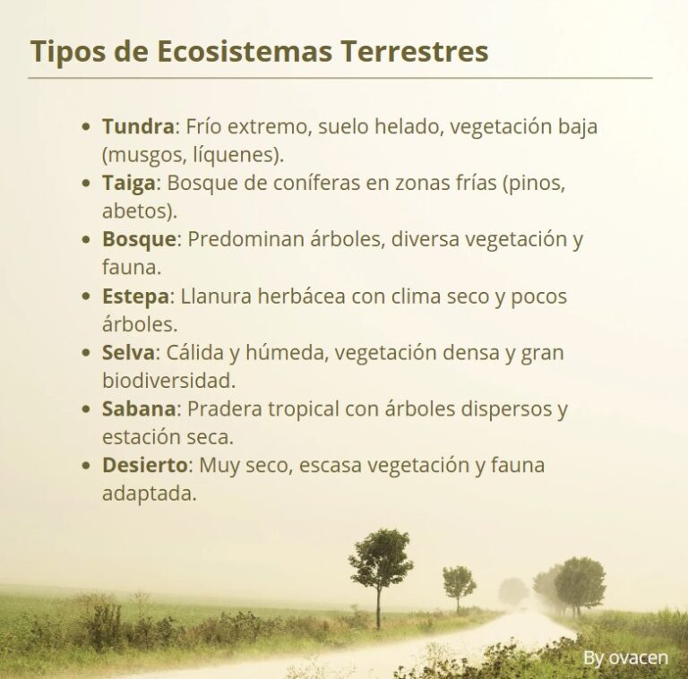 Ecosistemas terrestres; tipos, flora, fauna y características | OVACEN
